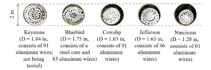 B3 - Seismic resilience of interconnected substation equipment: Lessons ...