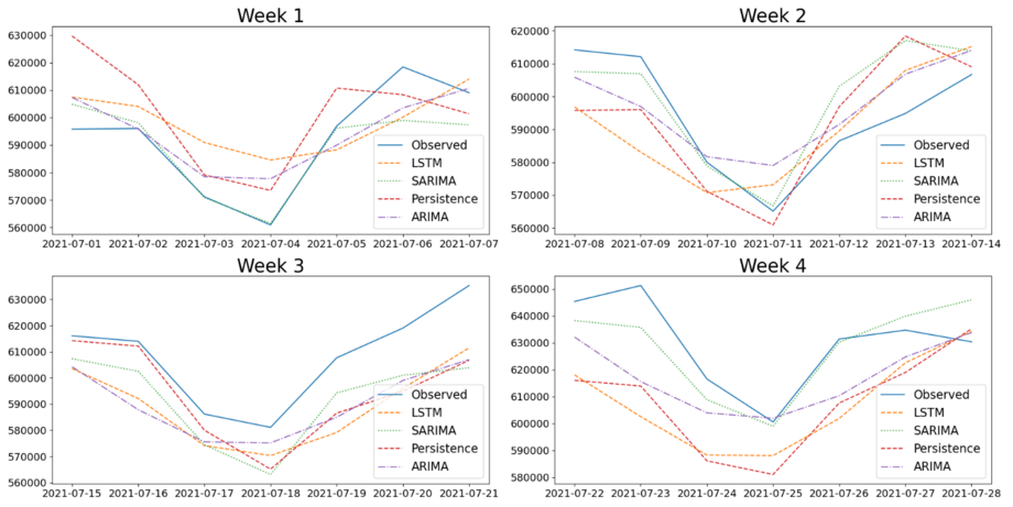 Applied SARIMA Models for Forecasting Electricity Distribution Purchases and Sales | CSE