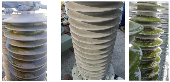 Critical Review on Biological Growth on Composite Insulators in ...